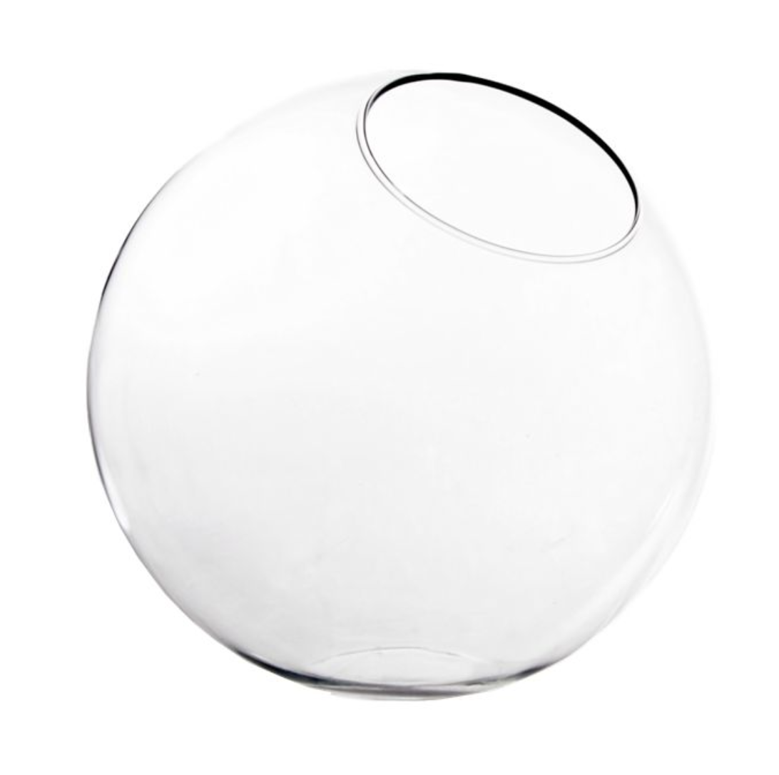 Terrarium, Tilted Glass Sphere | The Plant Shoppe- Studio + Gathering Space